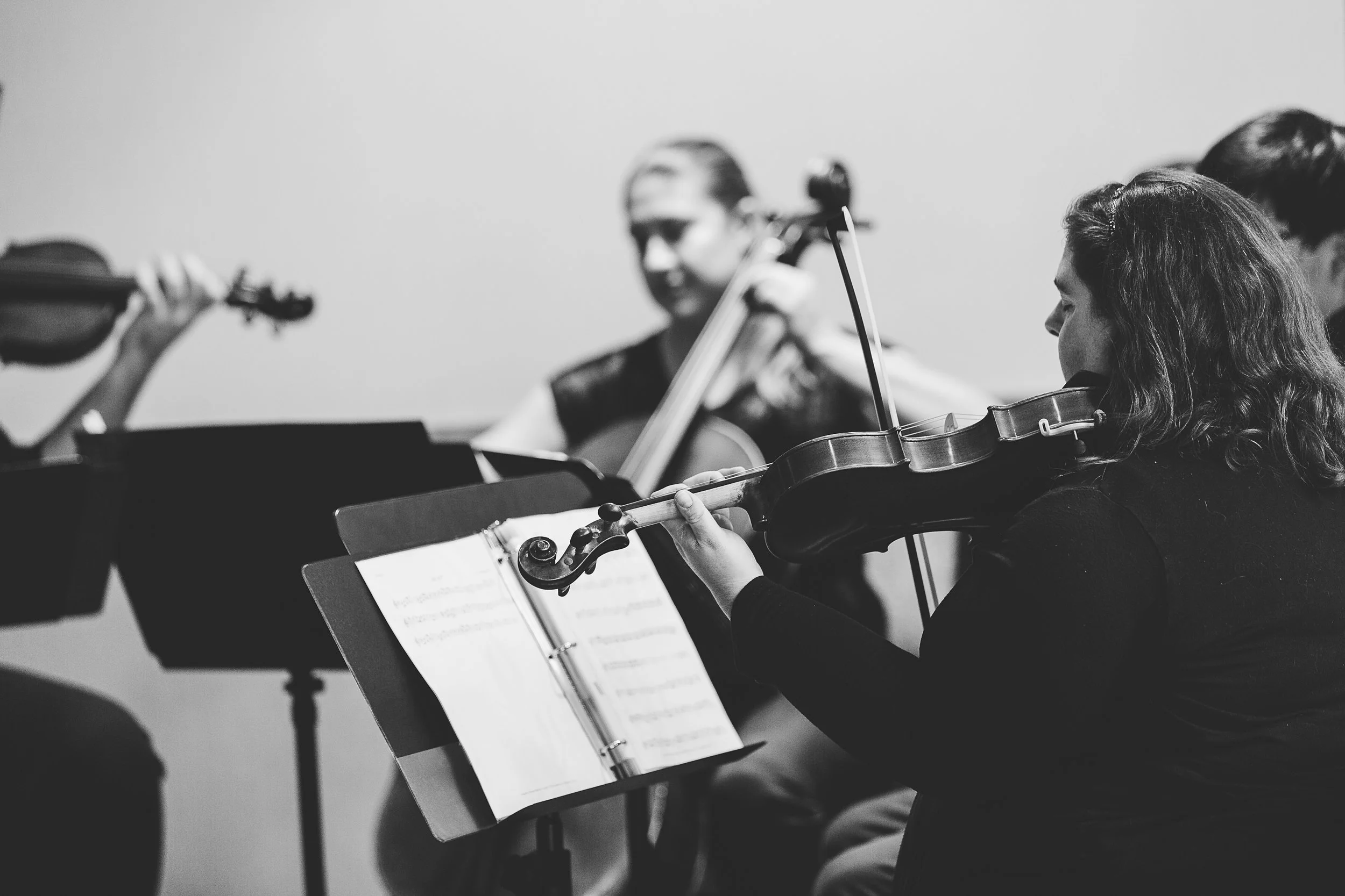 Elegant Live Strings For Weddings & Events. Wilkes-Barre, Scranton ...