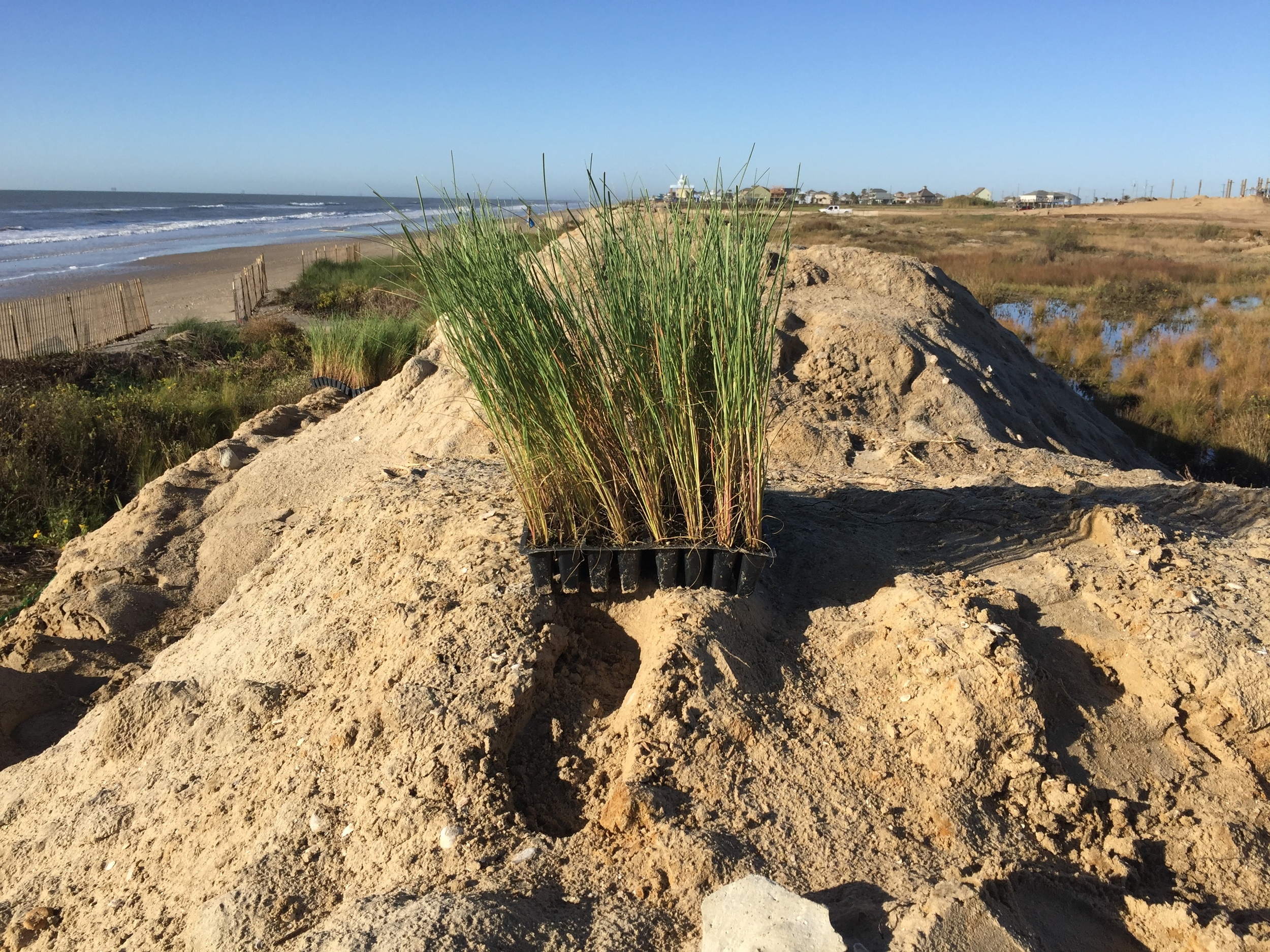 How is Seagrass Beach Eco-Friendly? — SEAGRASS BEACH | Luxury Vacation ...