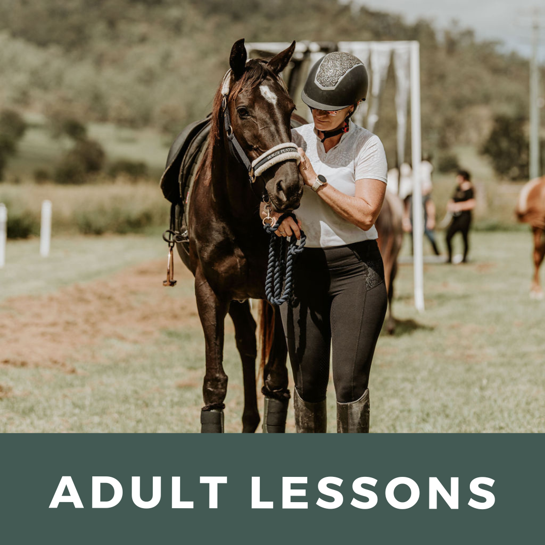 Horse Riding — Equestrian Spirit