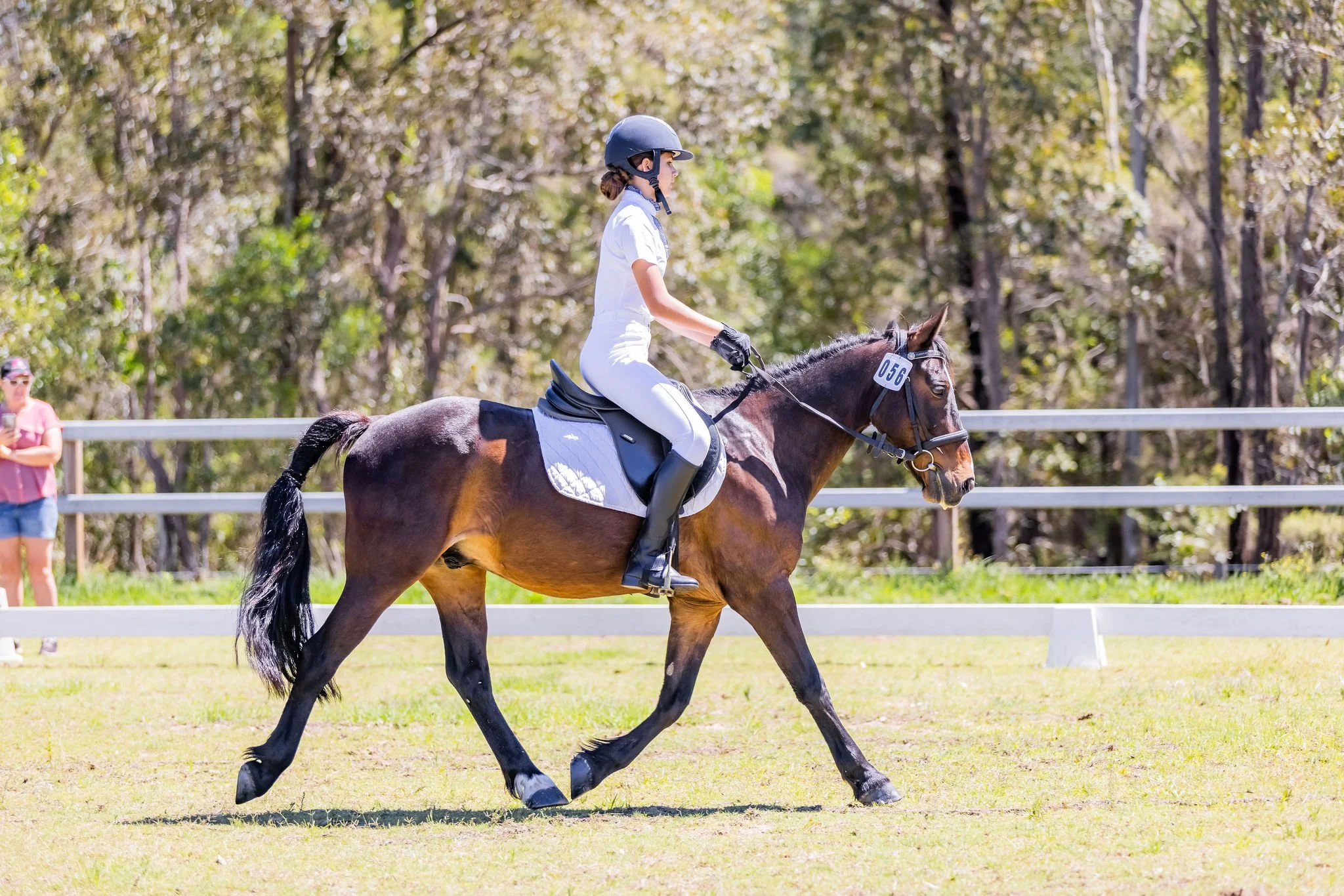 Horse Riding — Equestrian Spirit