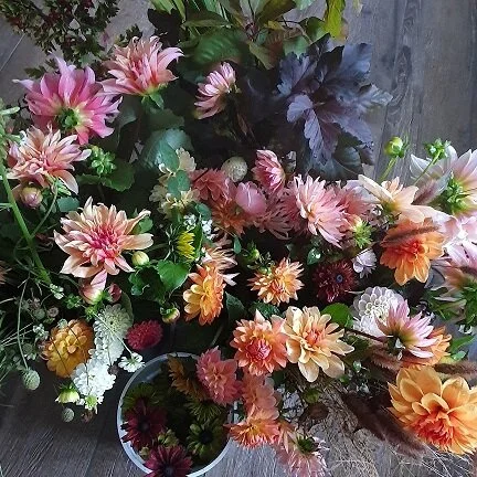 Tallulah Rose Flower School | Best Flower Site