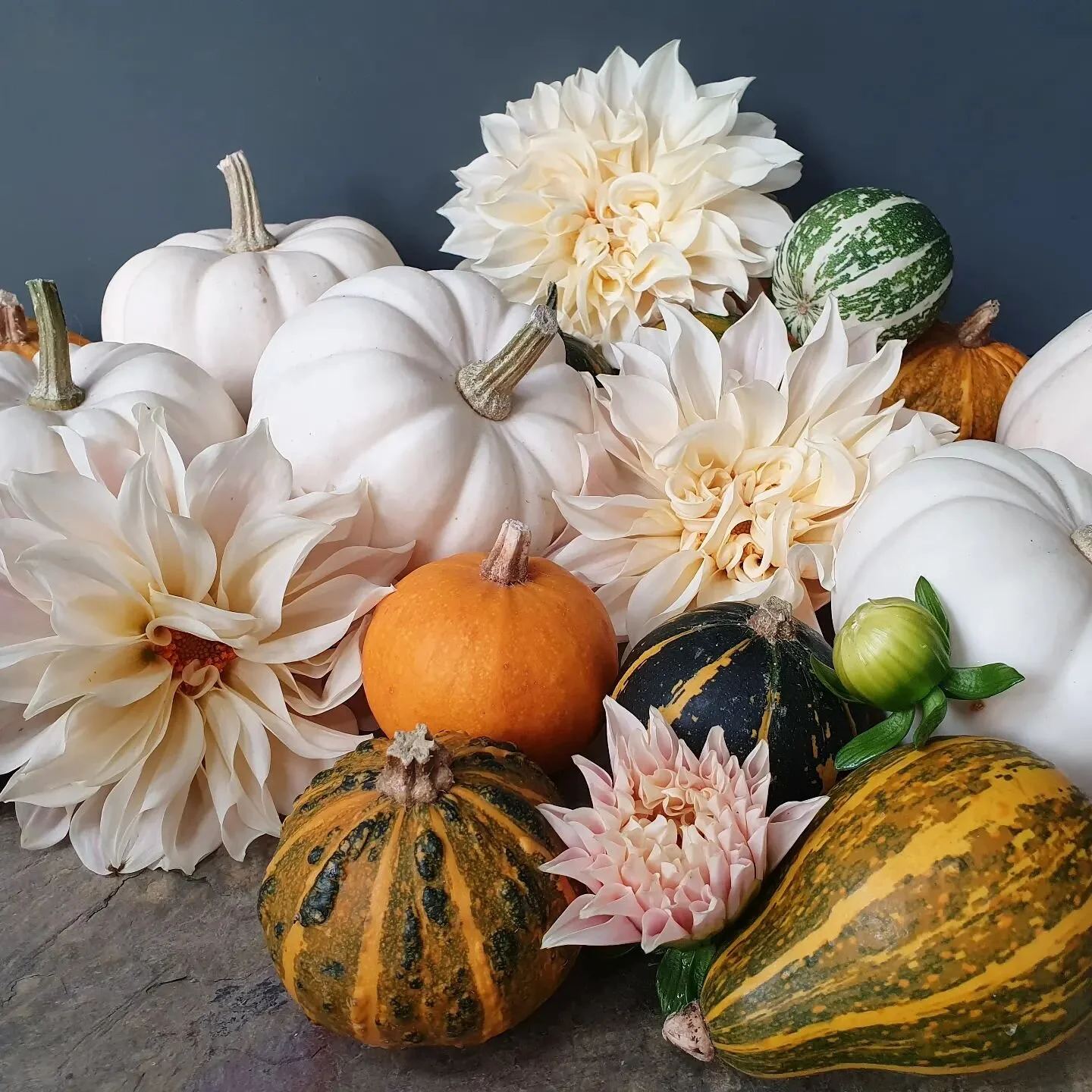 Shop — Pipley Flowers