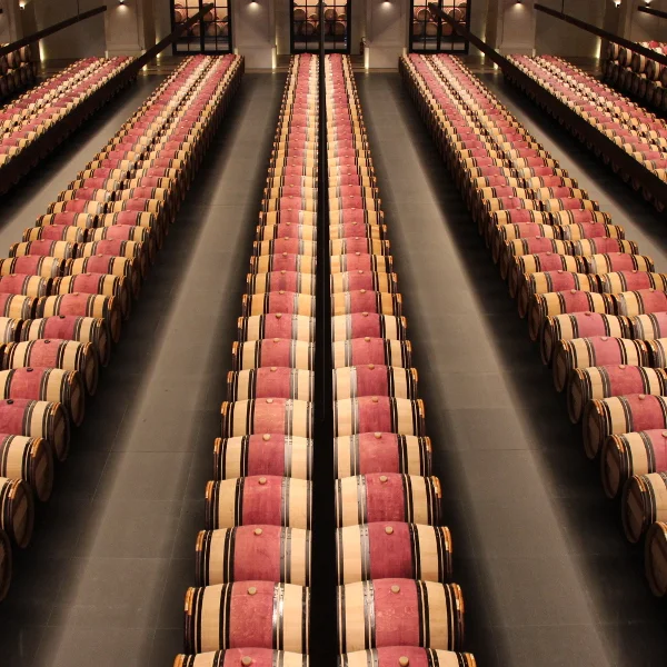 Portfolio — Richard Hemming MW