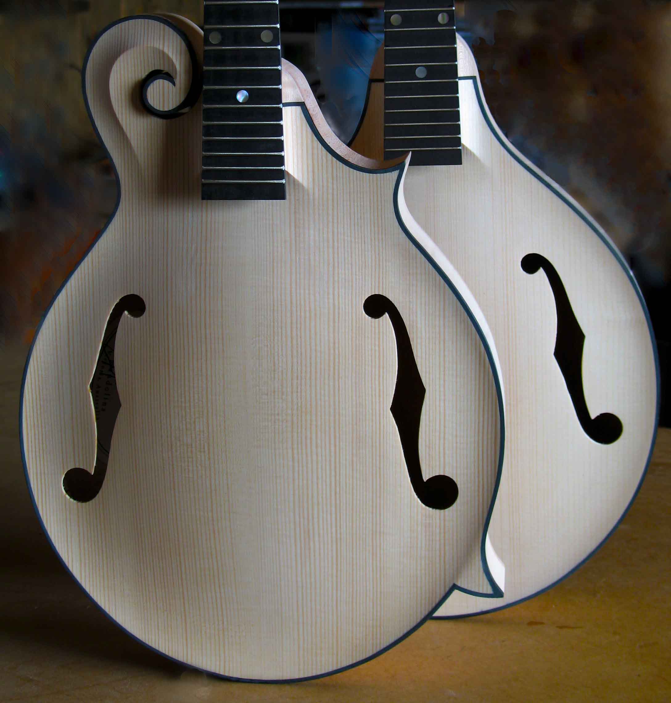 Juniors — Gilchrist Mandolins & Guitars