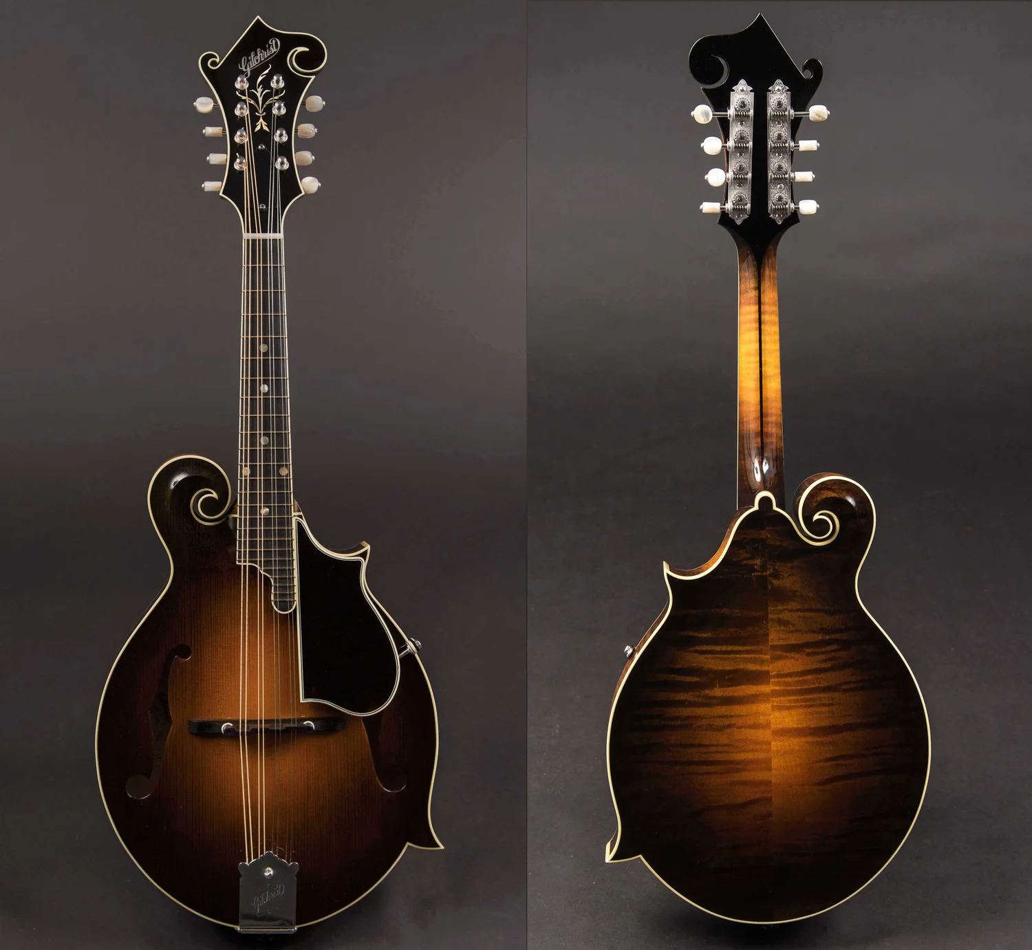 Model 5 — Gilchrist Mandolins & Guitars