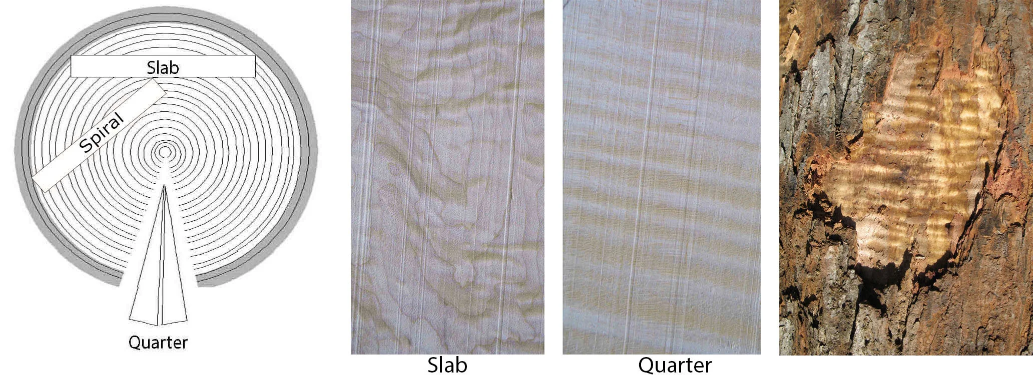 Bracing — Gilchrist Mandolins & Guitars