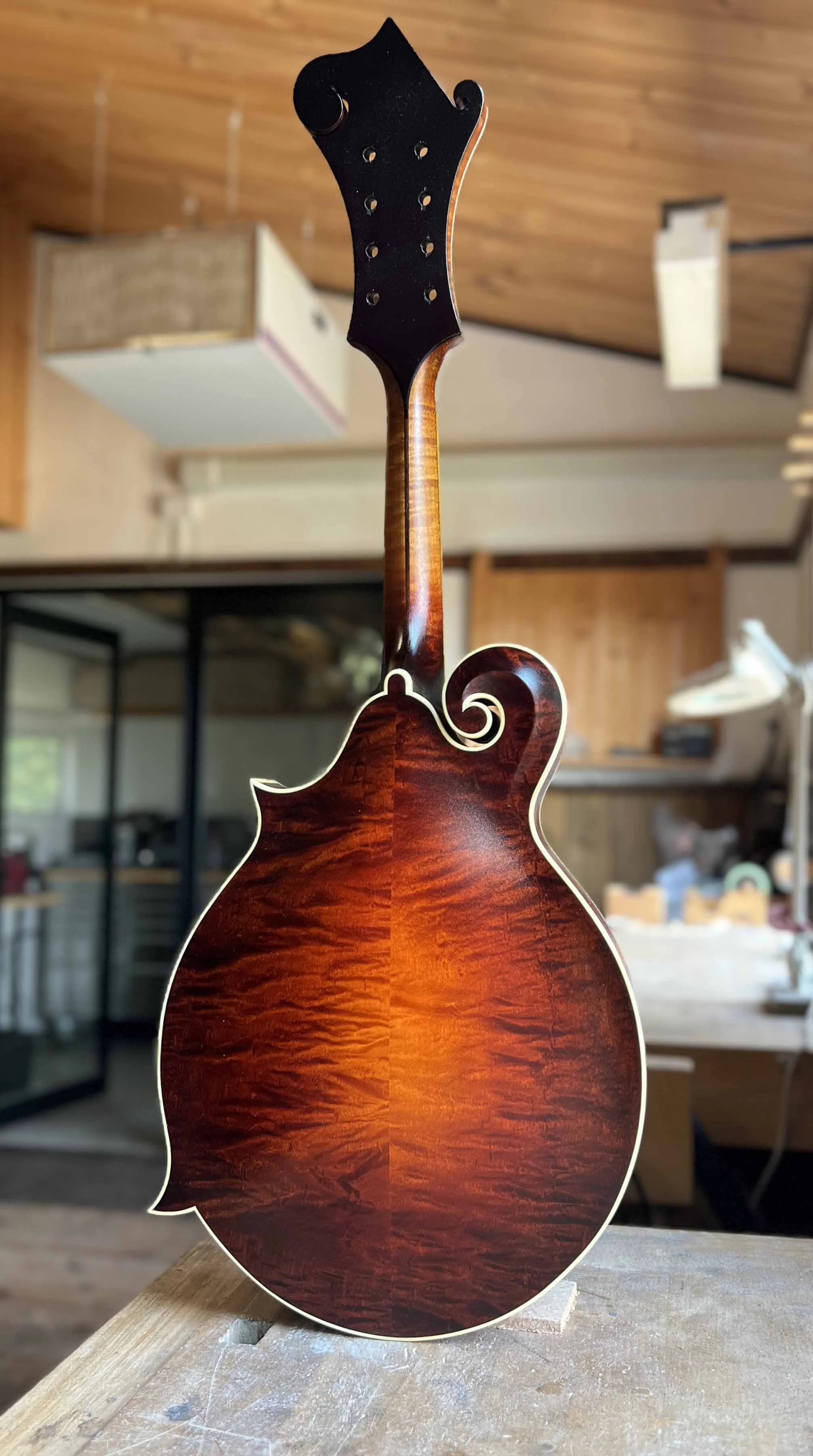 861 — Gilchrist Mandolins & Guitars