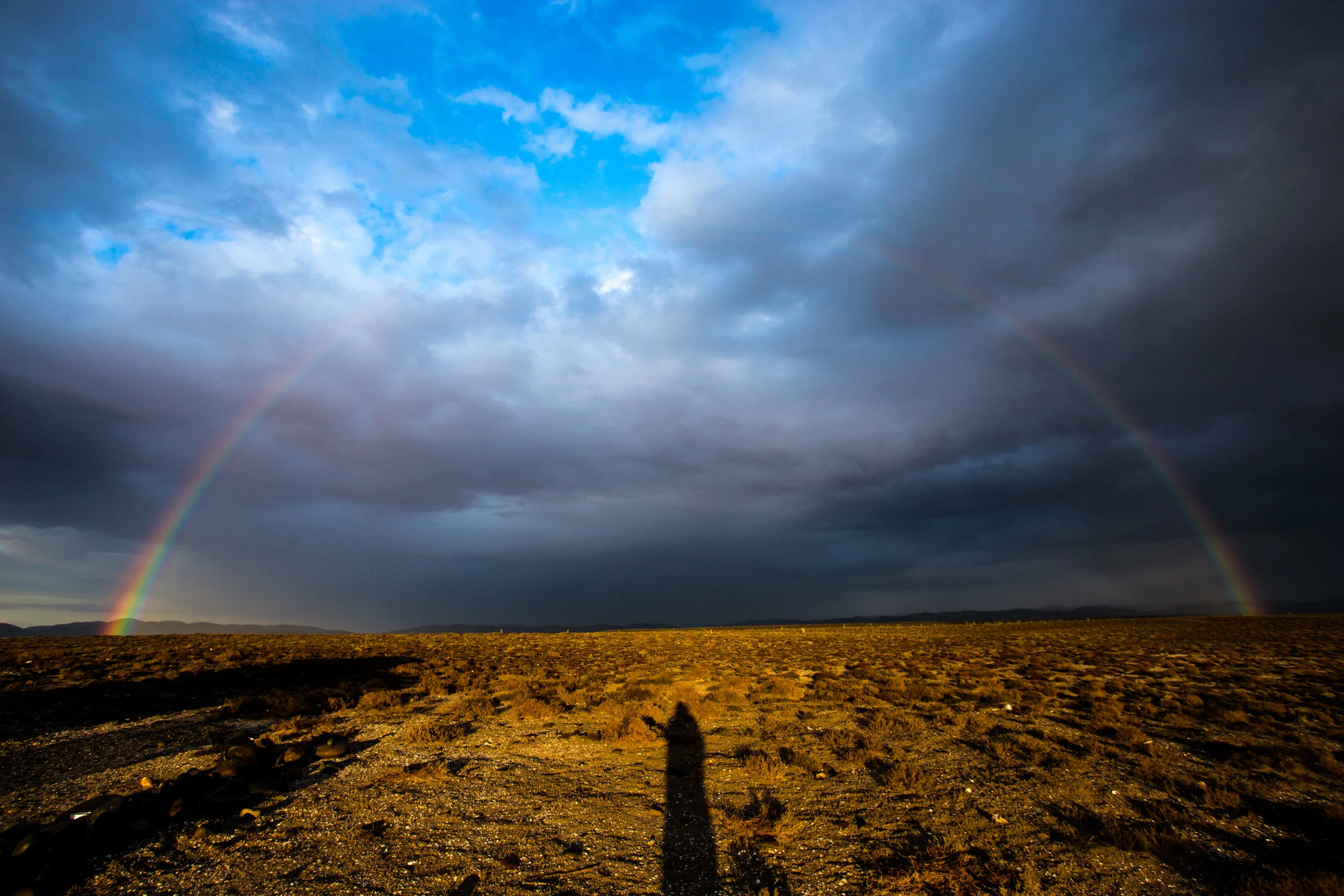 The Bull — Eric Ebner