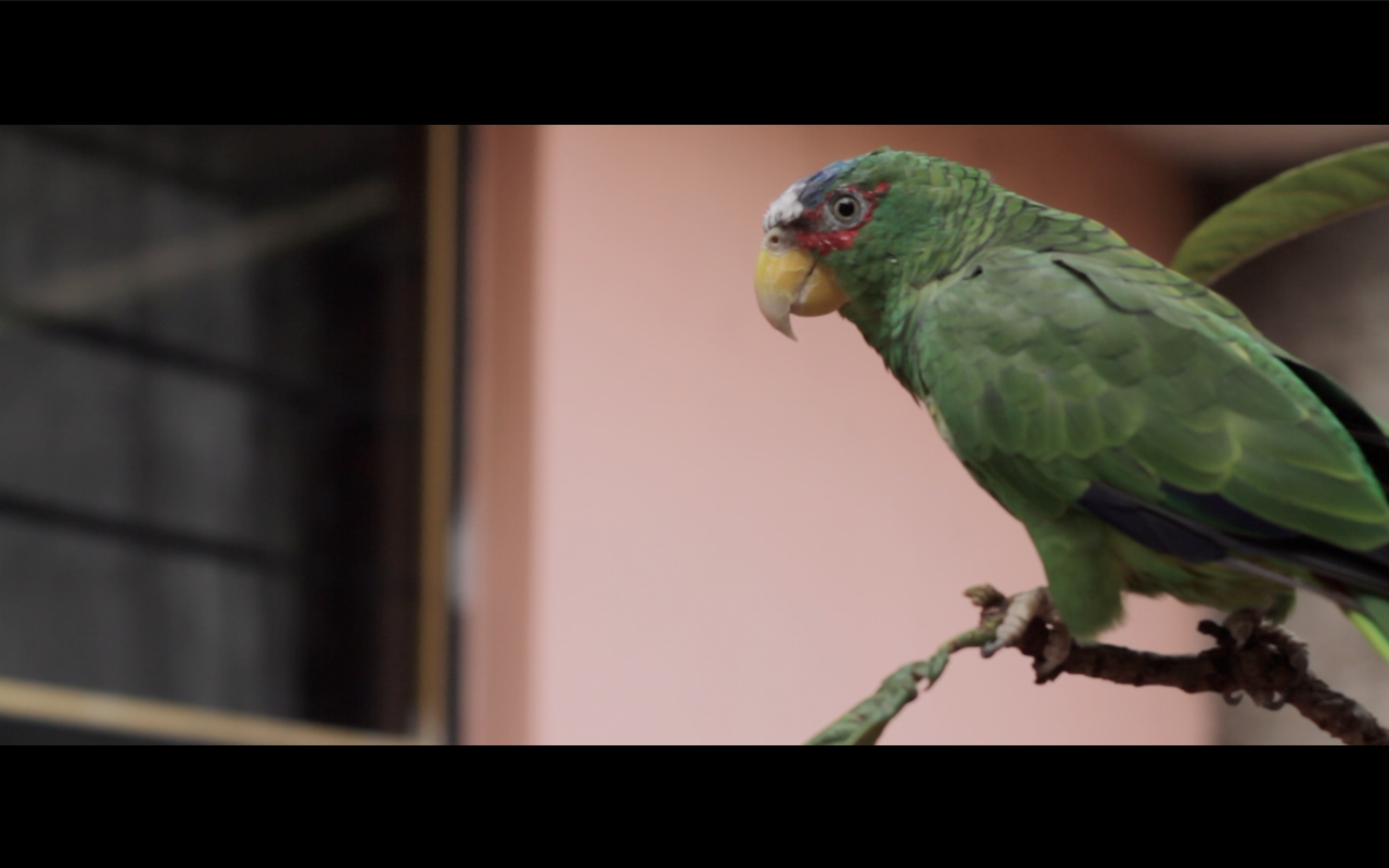 Nuestros Muertos — Eric Ebner