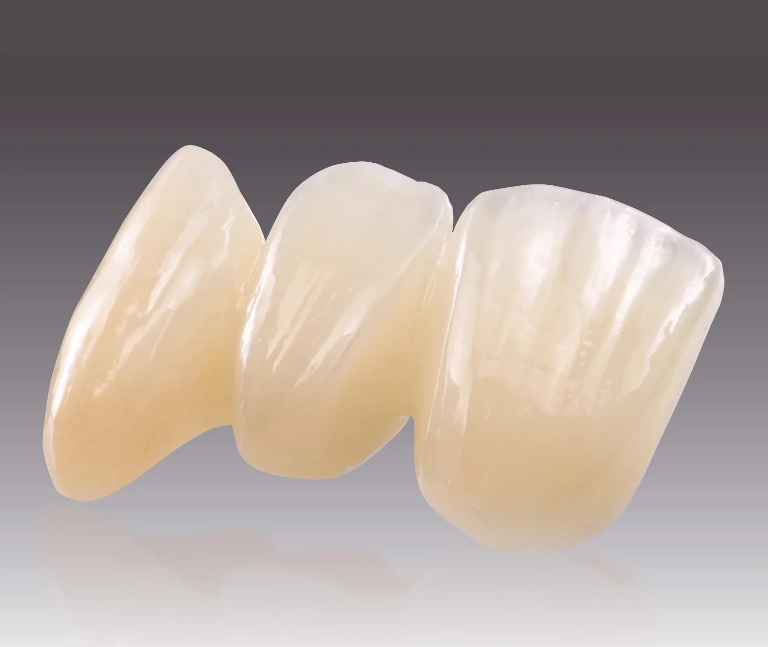 Omnitek Dental Ceramics, Inc.Omnitek Dental Ceramics