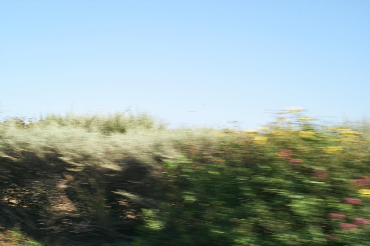 UMEDA Tetsuya at Watari-um Museum — BALSE Project