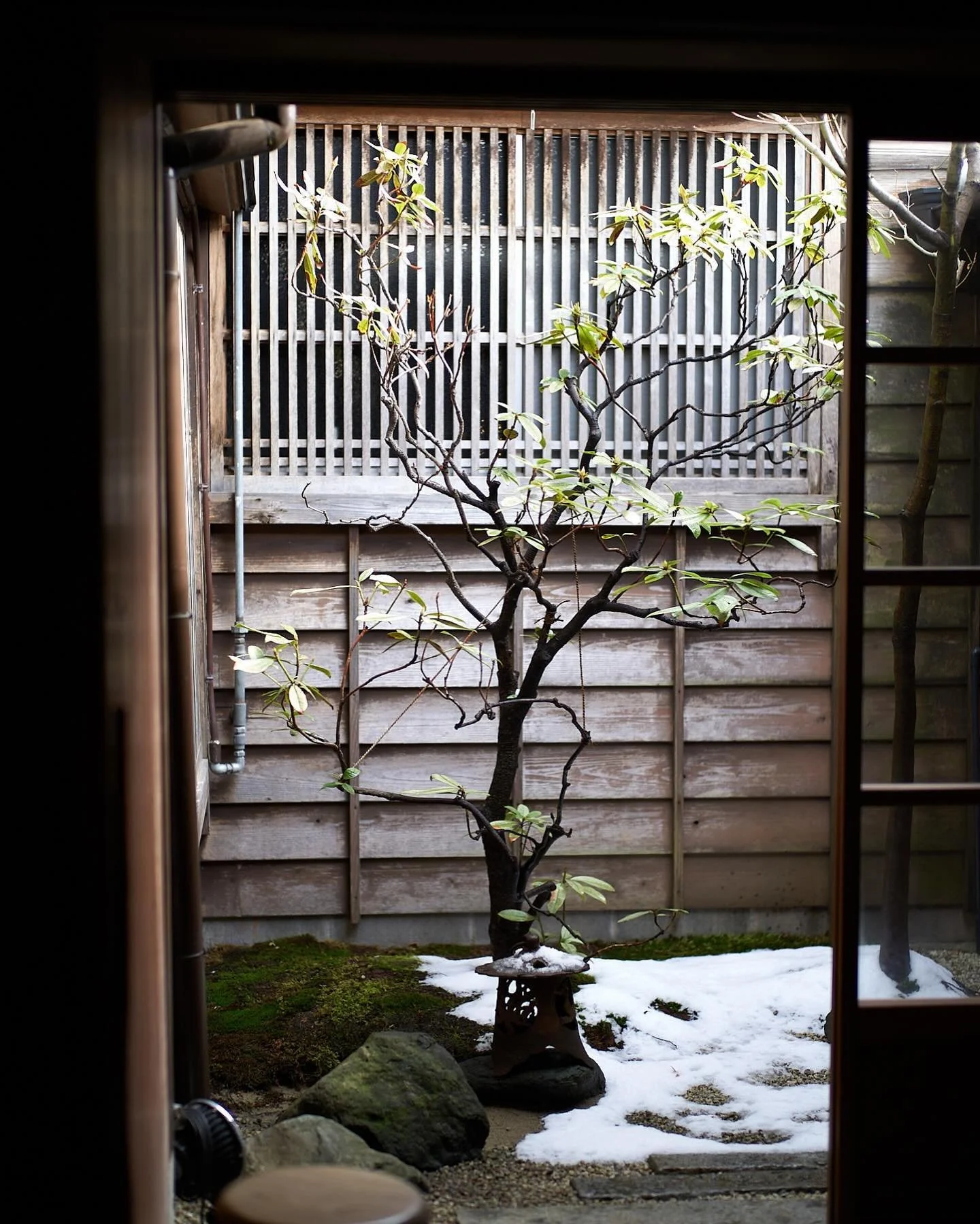 UMEDA Tetsuya at Watari-um Museum — BALSE Project