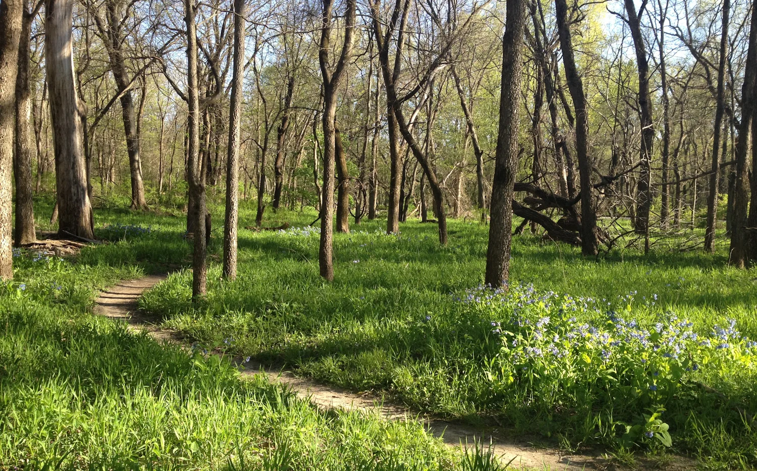 Center Trails (Trail) — Central Iowa Trail Association