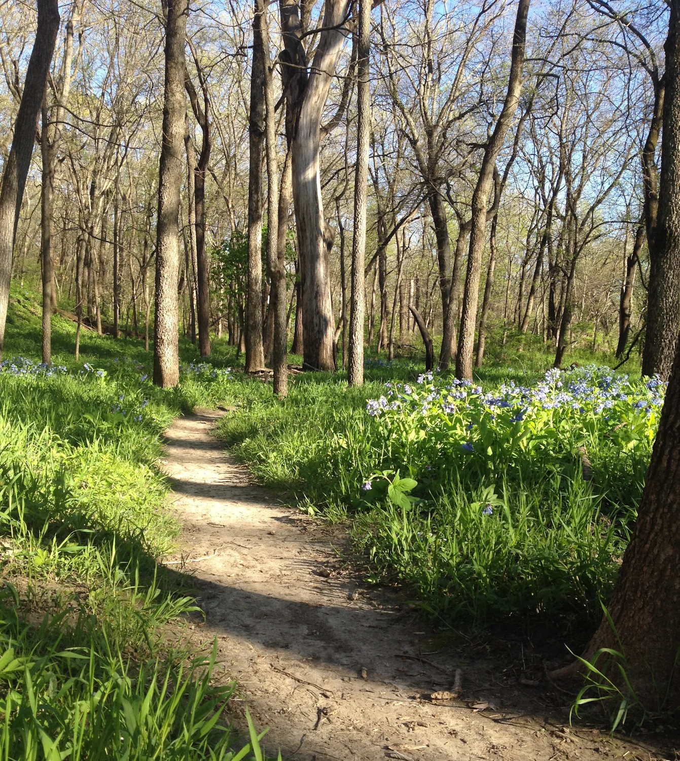 Center Trails (Trail) — Central Iowa Trail Association