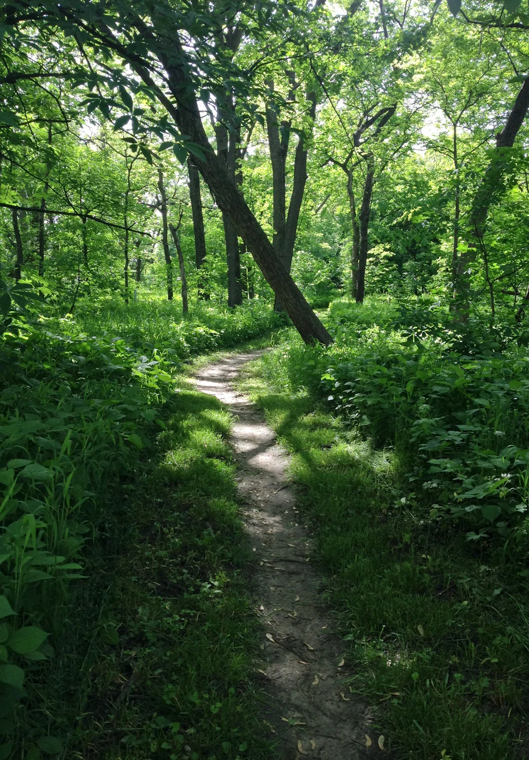 Center Trails (Trail) — Central Iowa Trail Association