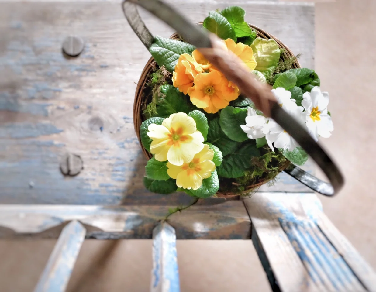 Blog — Sarah Freethy