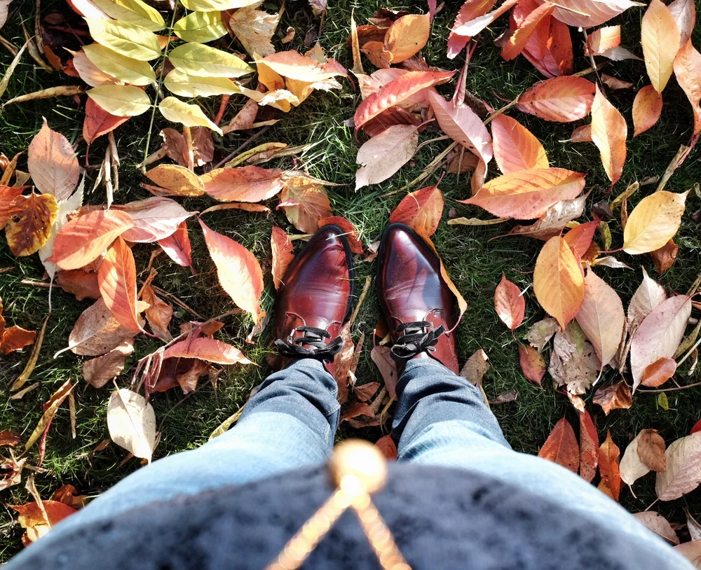 Blog — Sarah Freethy