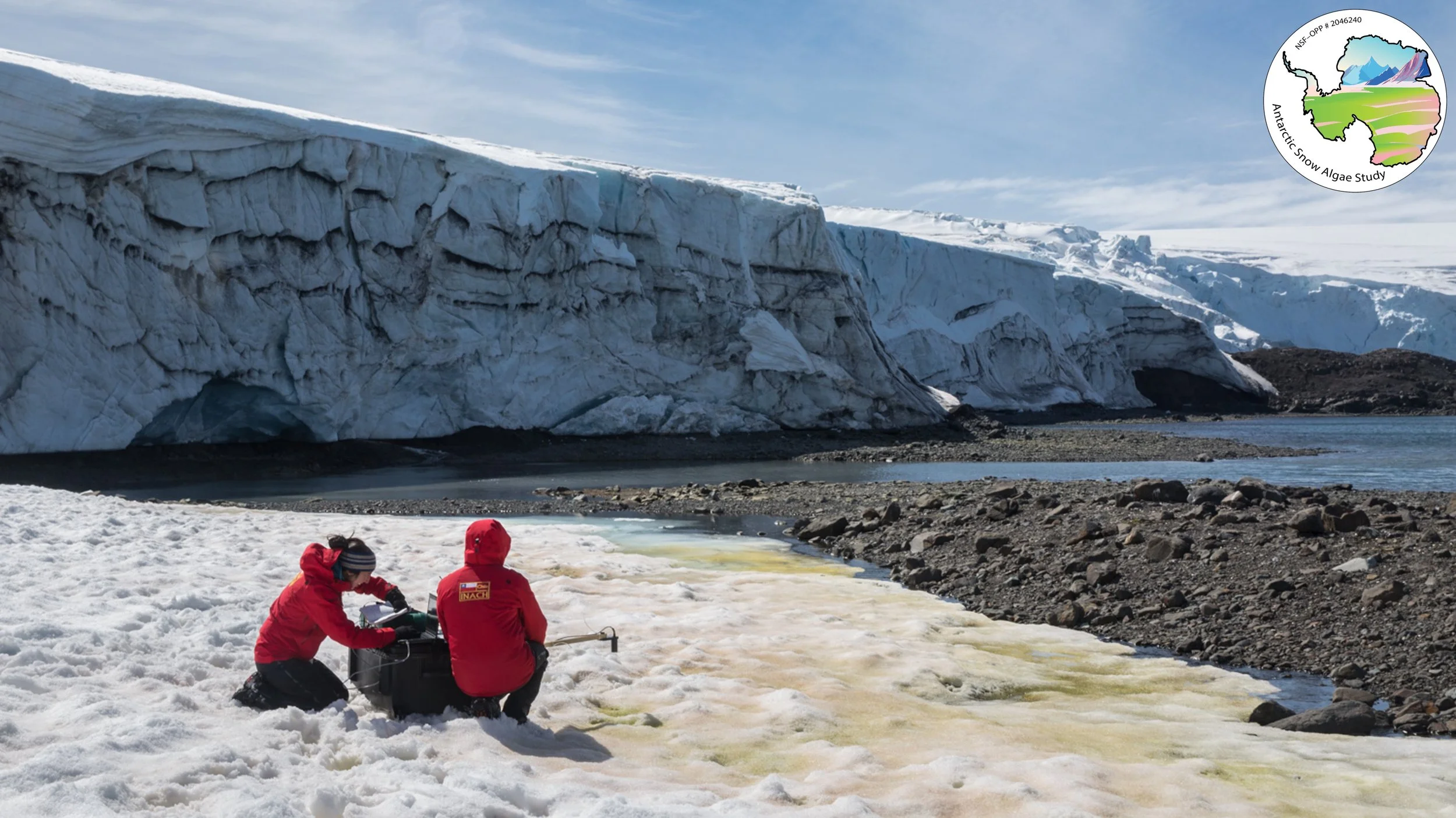 The Polar Citizen Science Collective