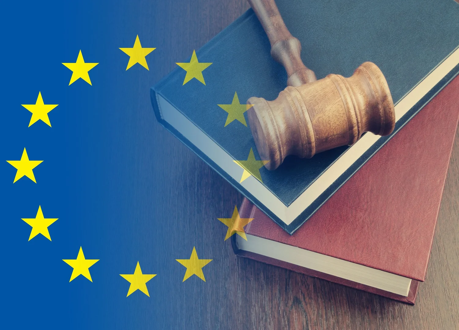 Nederlandse Vereniging voor Europees Recht