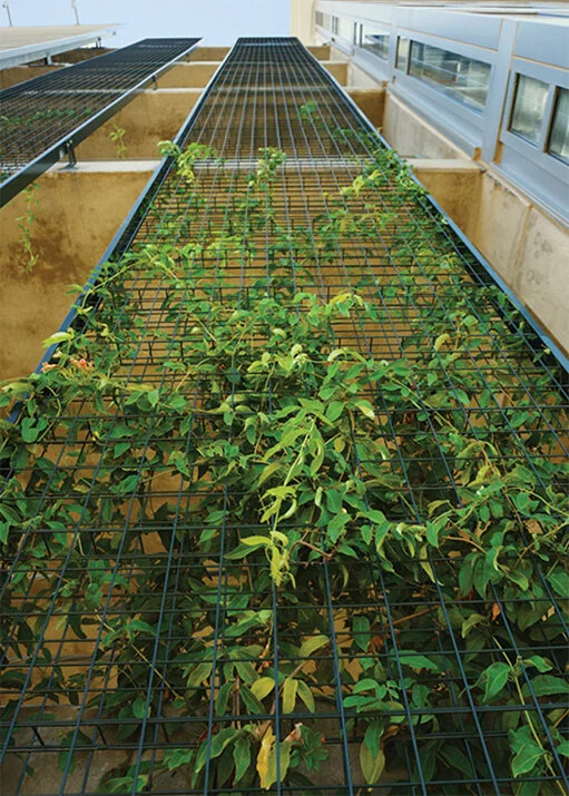 Living Screen® and Architectural Mesh — John Rocco Sales Next Gen