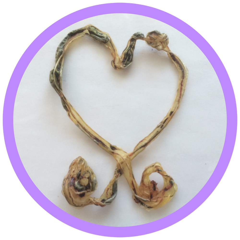 Birth Baby Balance Placenta Encapsulation services — Birth Baby Balance ...