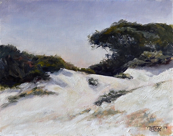 Hawthorn Galleries - Tim Breaux