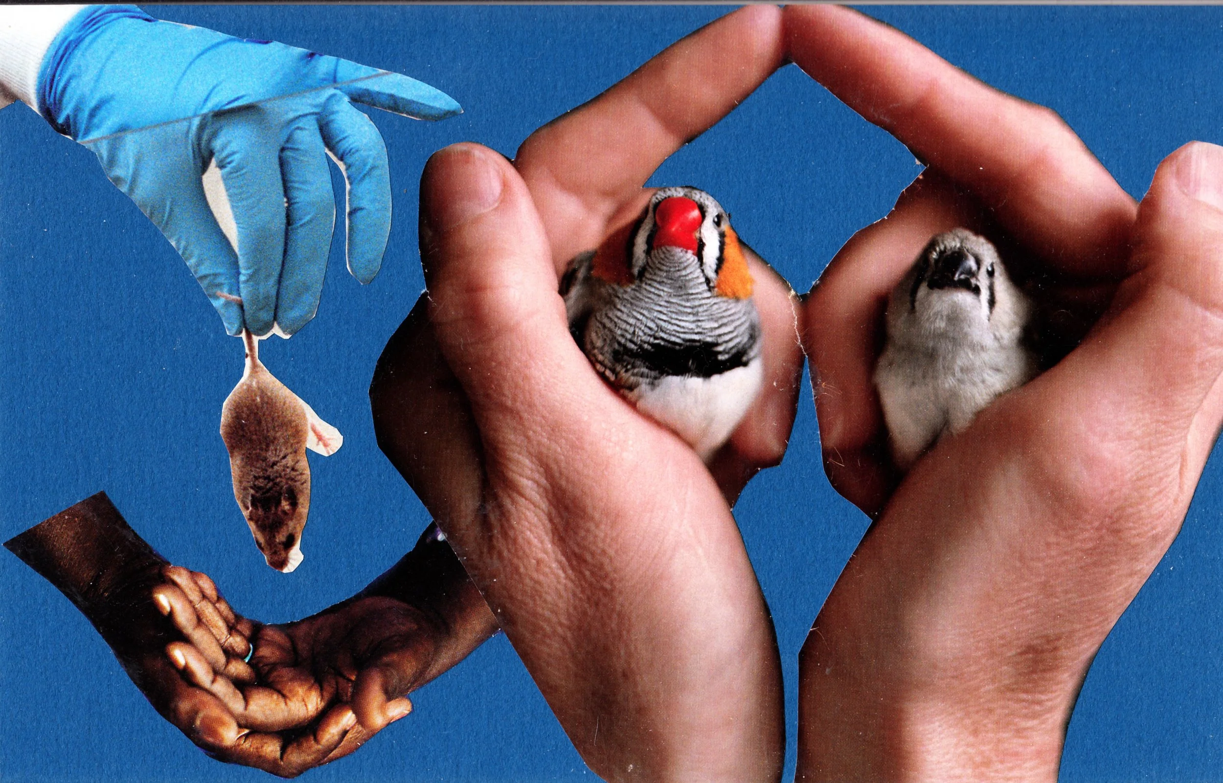 Musings — Debbi Horton