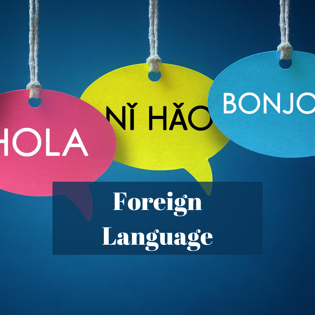 Catalog — Quest for Education and Arts