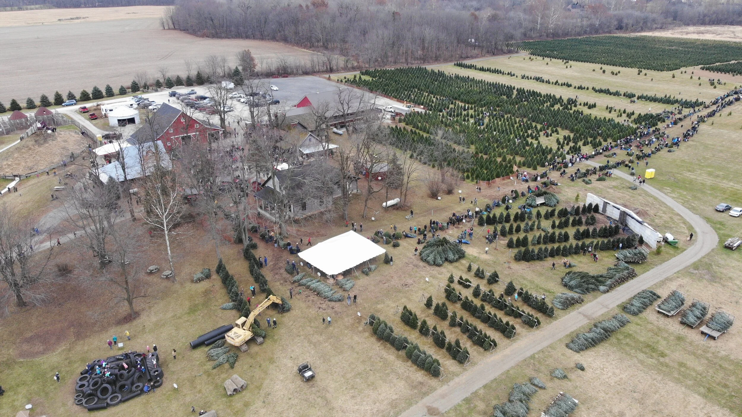 Dull's Tree Farm — @TheChadColby