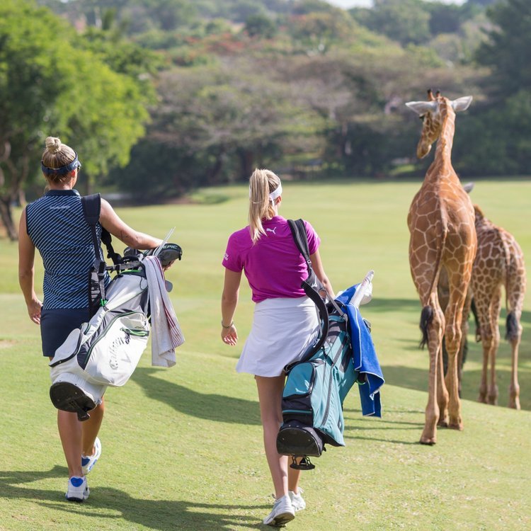 AFRICA — On The Tee Travel