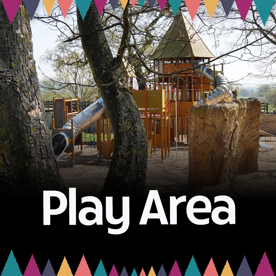 Adventure Play Area — Camper Calling