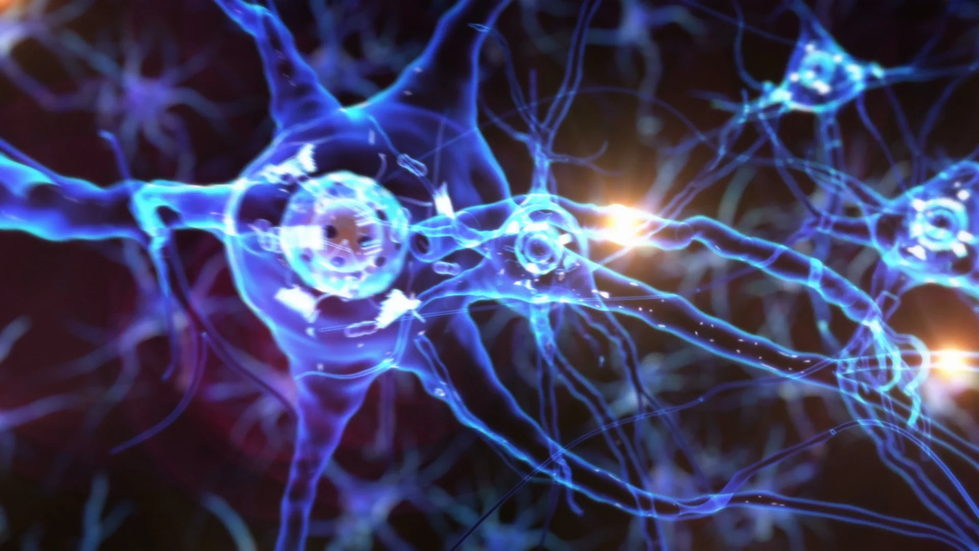 La Neurologie Fonctionnelle — Clinique Tcnf Neurologie Fonctionnelle