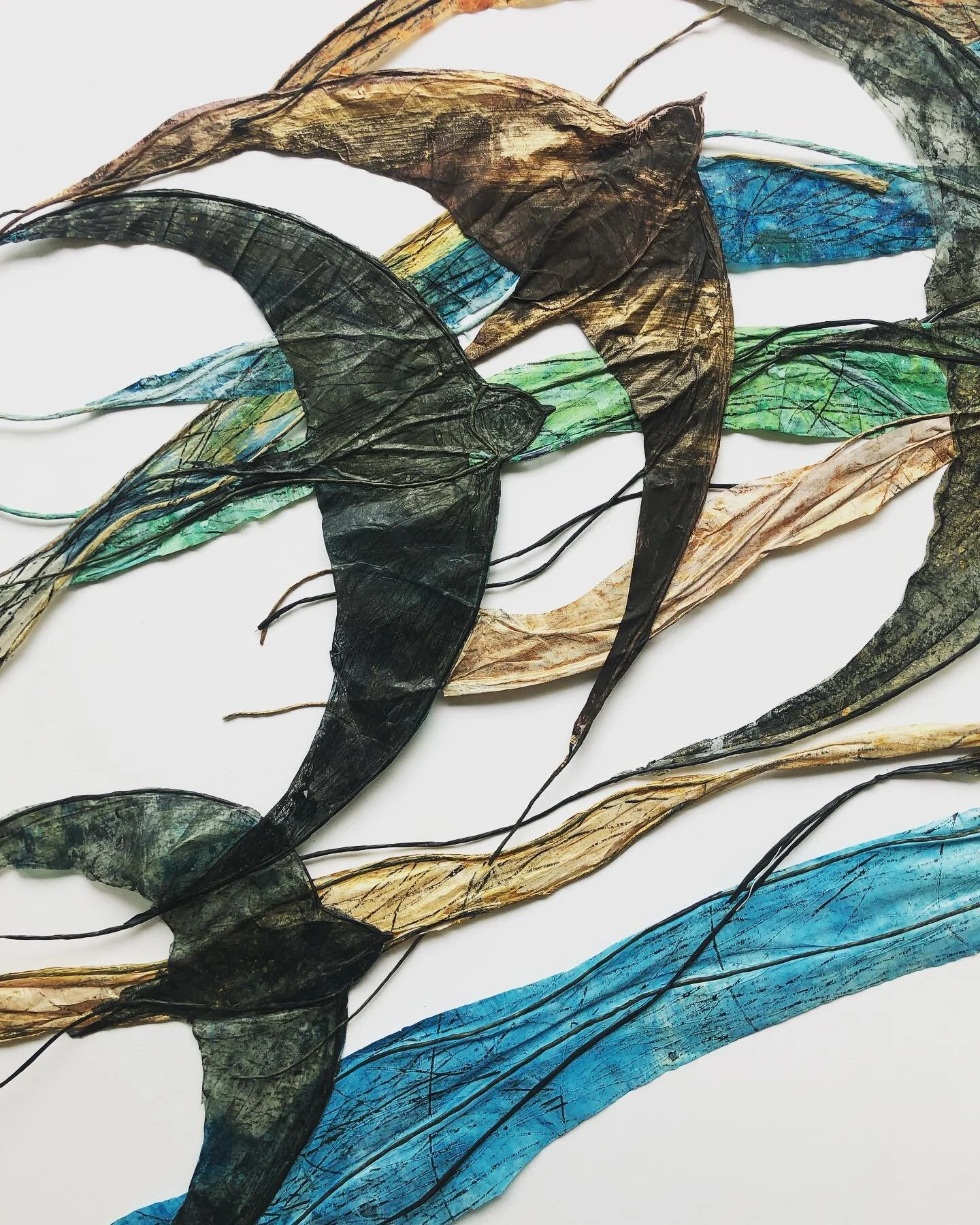 Exhibitions — Celia Smith