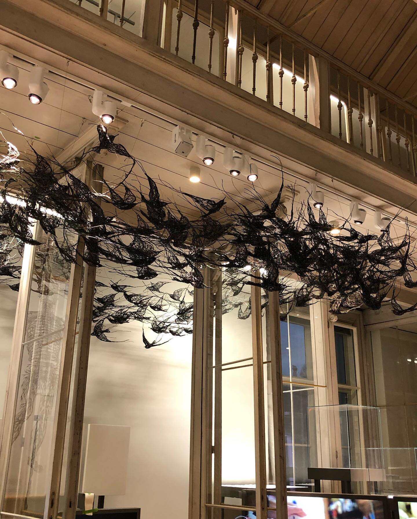 Exhibitions — Celia Smith