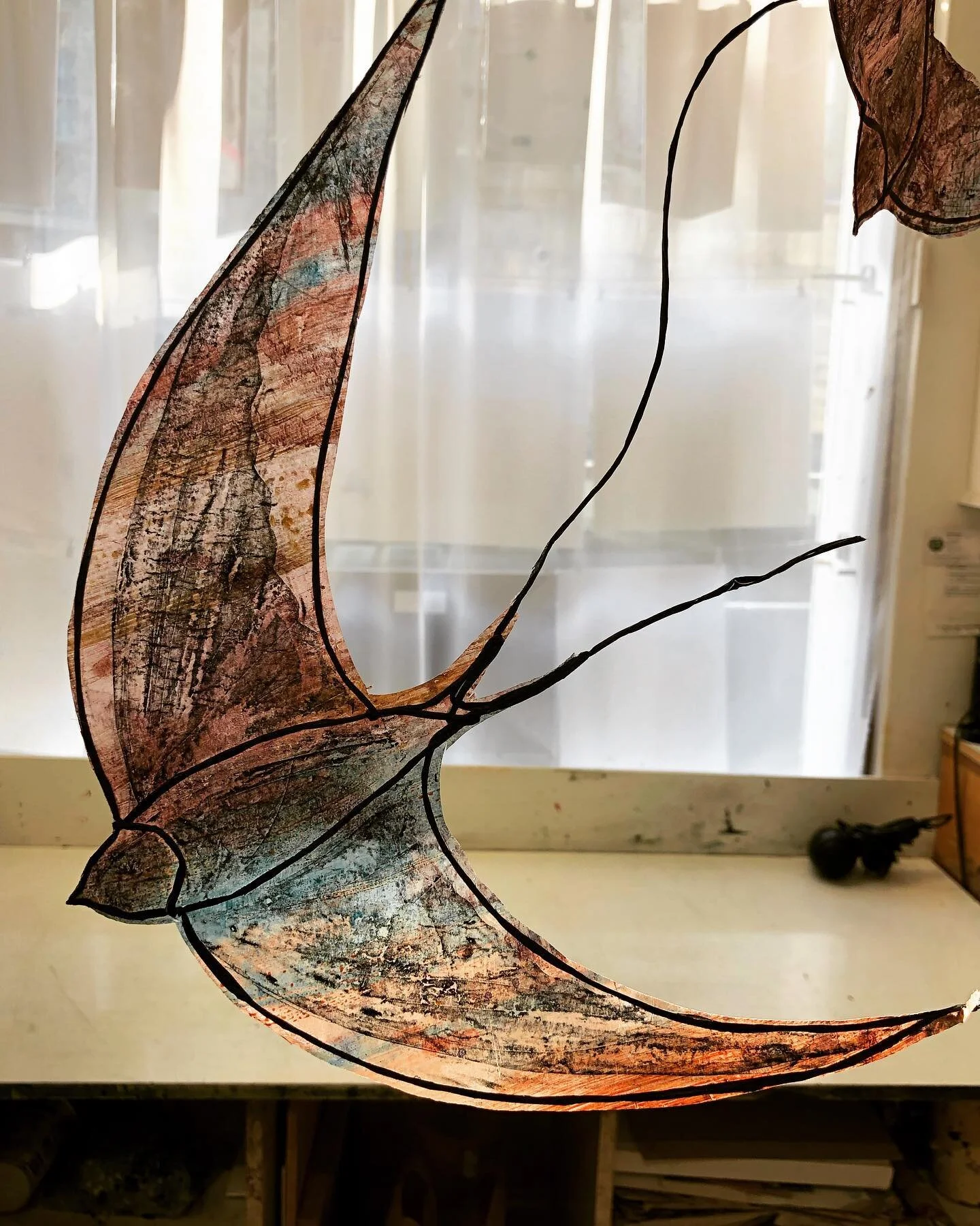 Exhibitions — Celia Smith