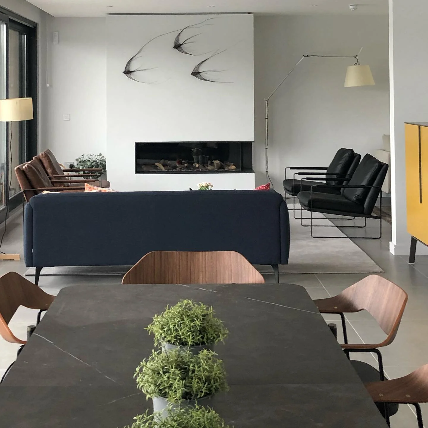 Exhibitions — Celia Smith