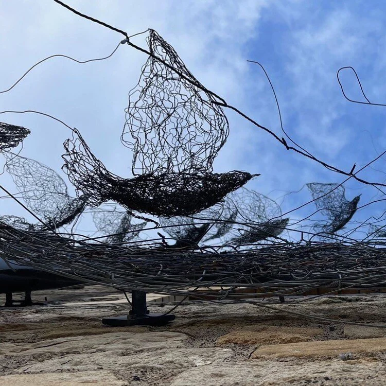 Shop — Celia Smith