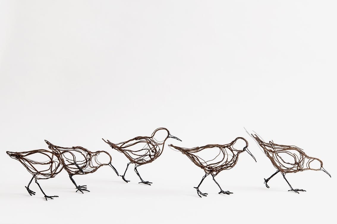 Exhibitions — Celia Smith