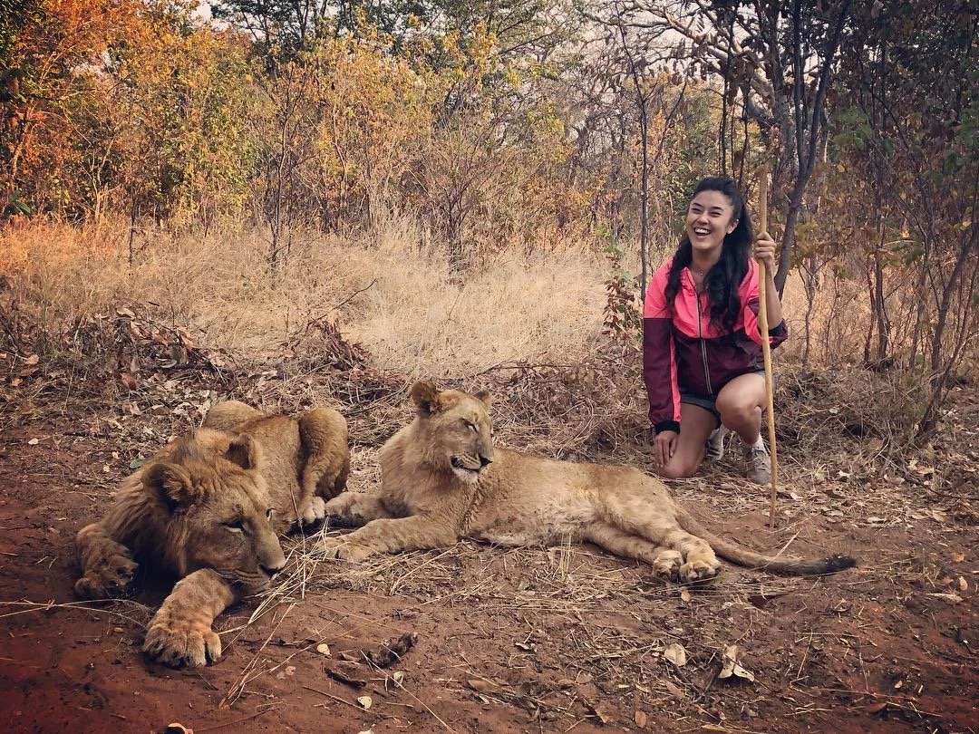 Melissa Gentry — CHM Government Services