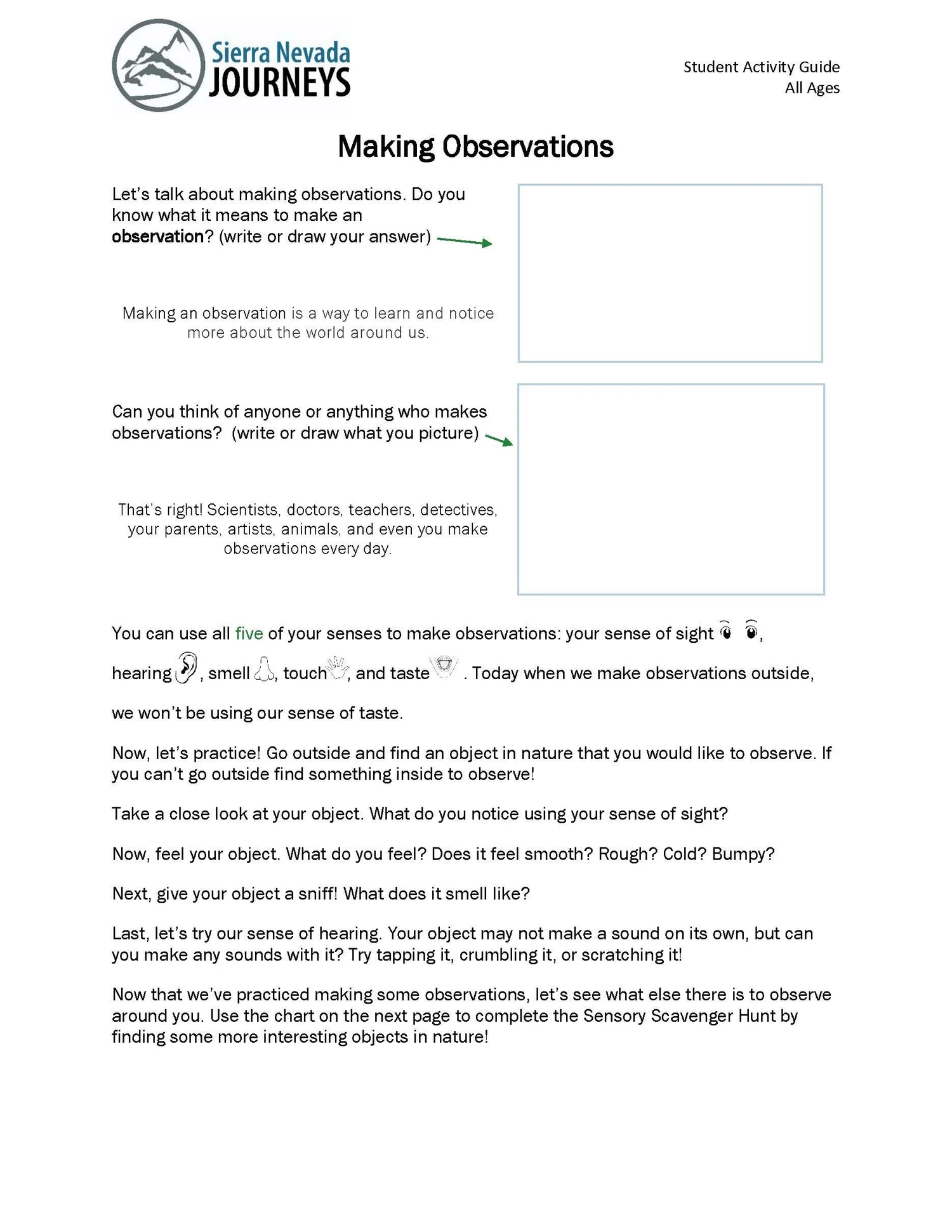 Making Observations, A Sensory Scavenger Hunt