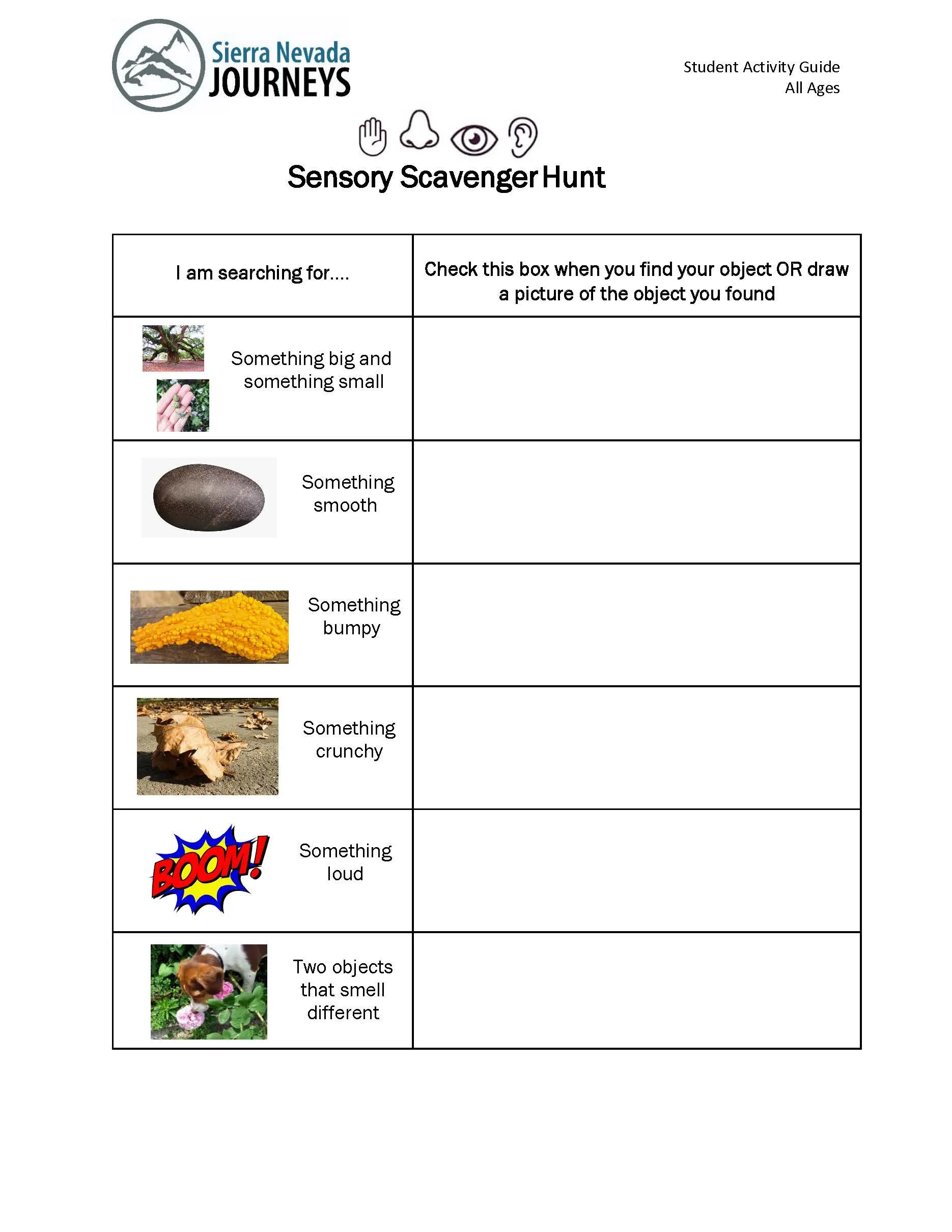 Making Observations, A Sensory Scavenger Hunt