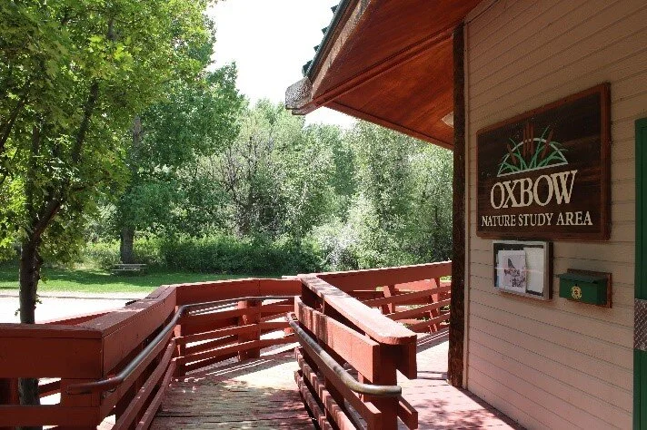 Exploring Outdoors at Oxbow Nature Observation Area in Reno