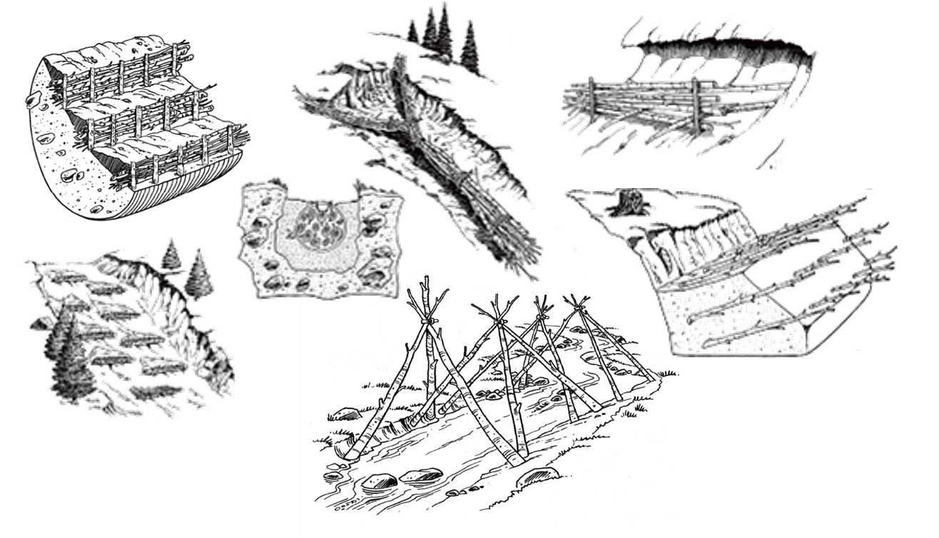 Headwaters Restoration (Part 3/3): Bioengineering — Oldman Watershed ...