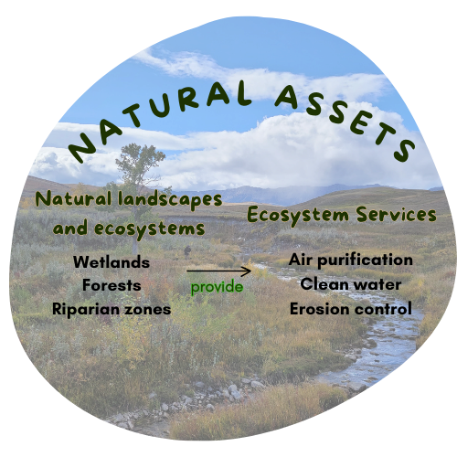 Natural Infrastructure 101 — Oldman Watershed Council