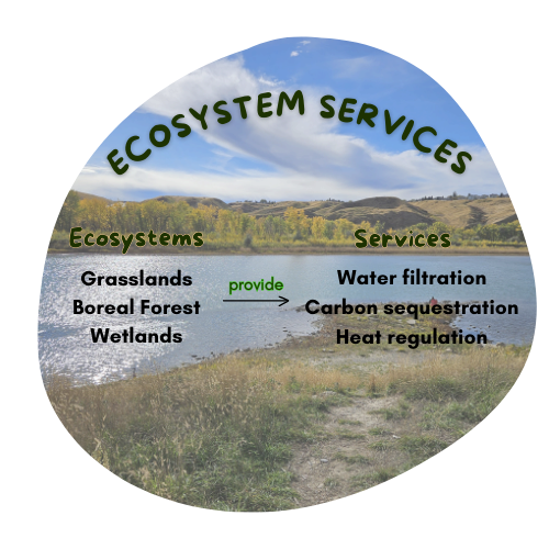 Natural Infrastructure 101 — Oldman Watershed Council