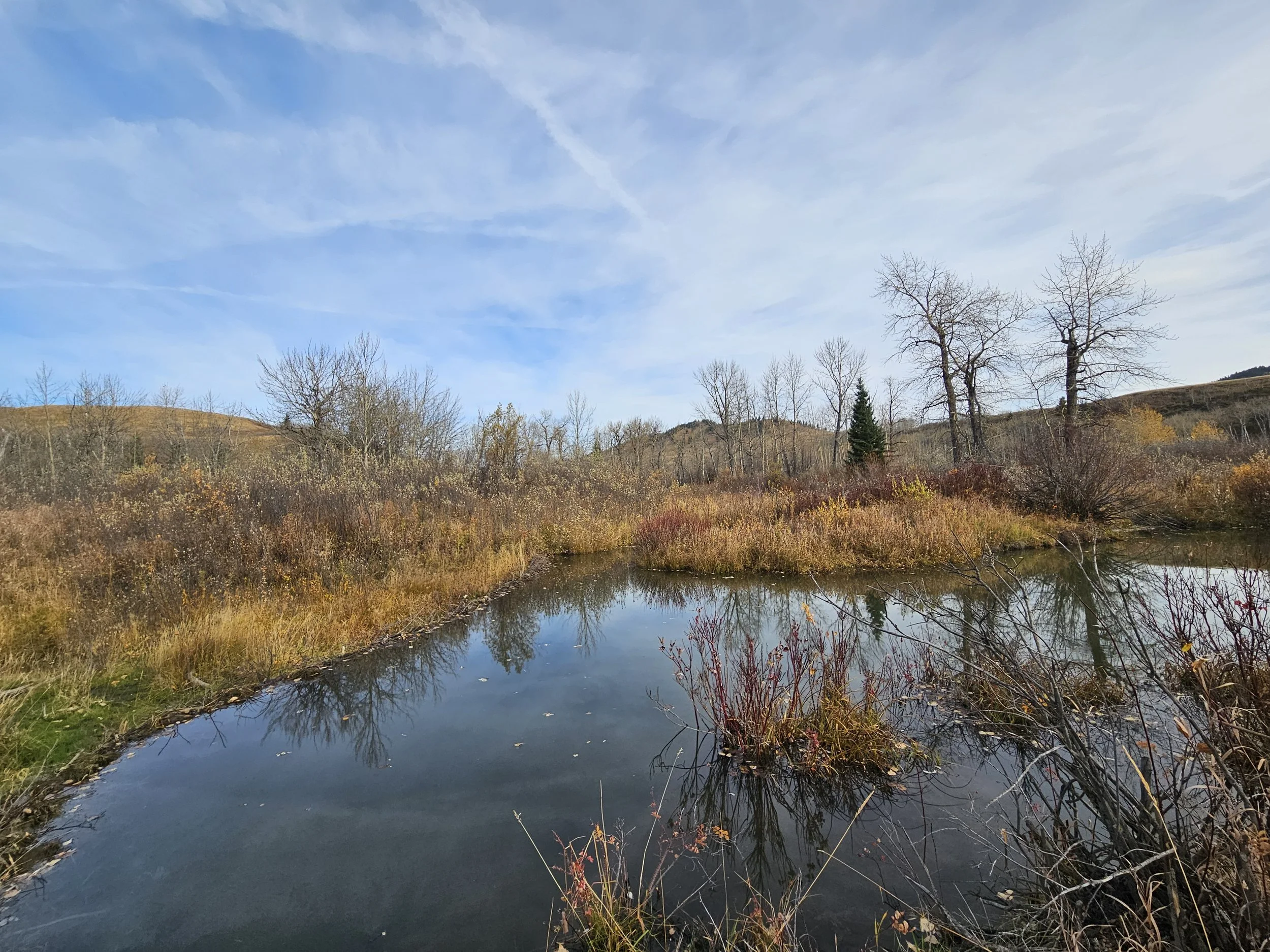 Natural Infrastructure 101 — Oldman Watershed Council