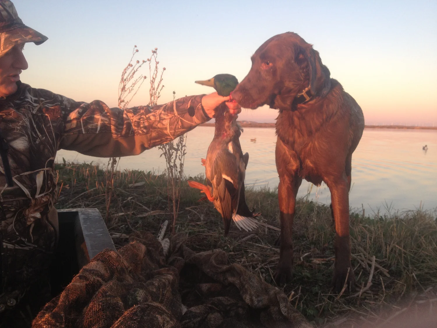 Rich Island Duck Club