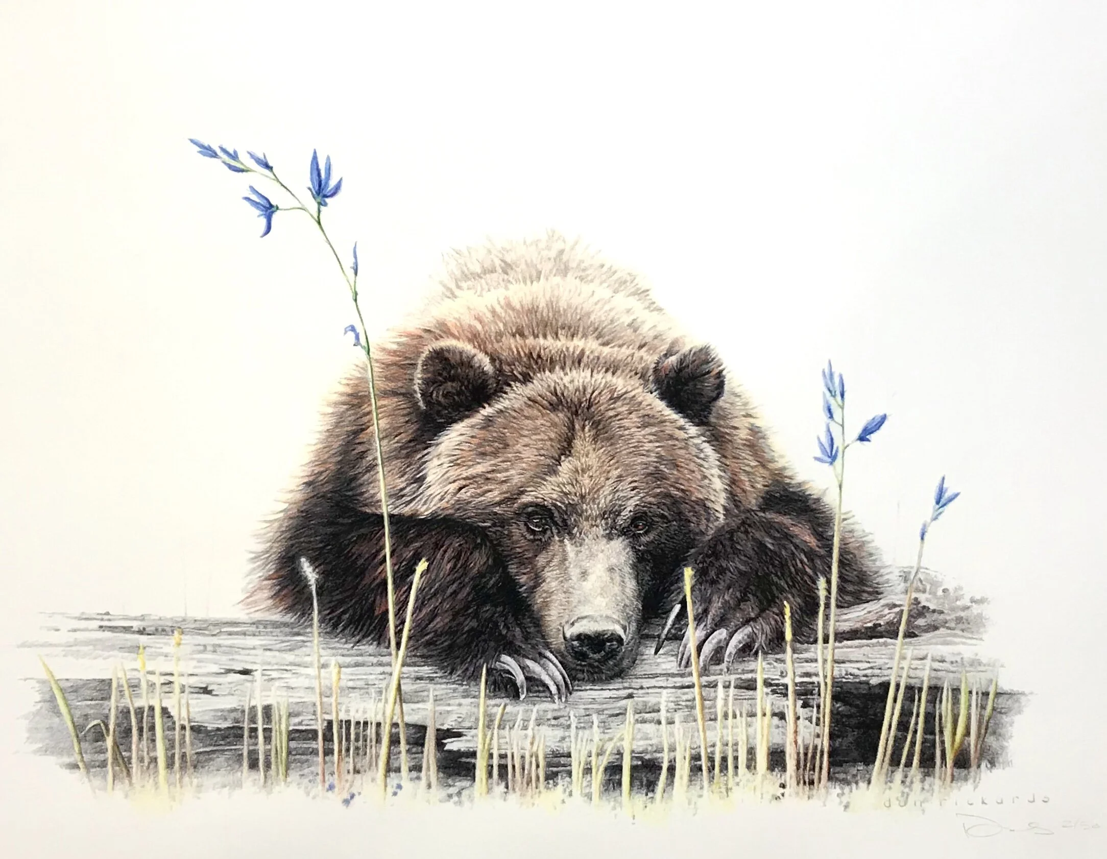 Dan Rickards — Sisters Arts Association