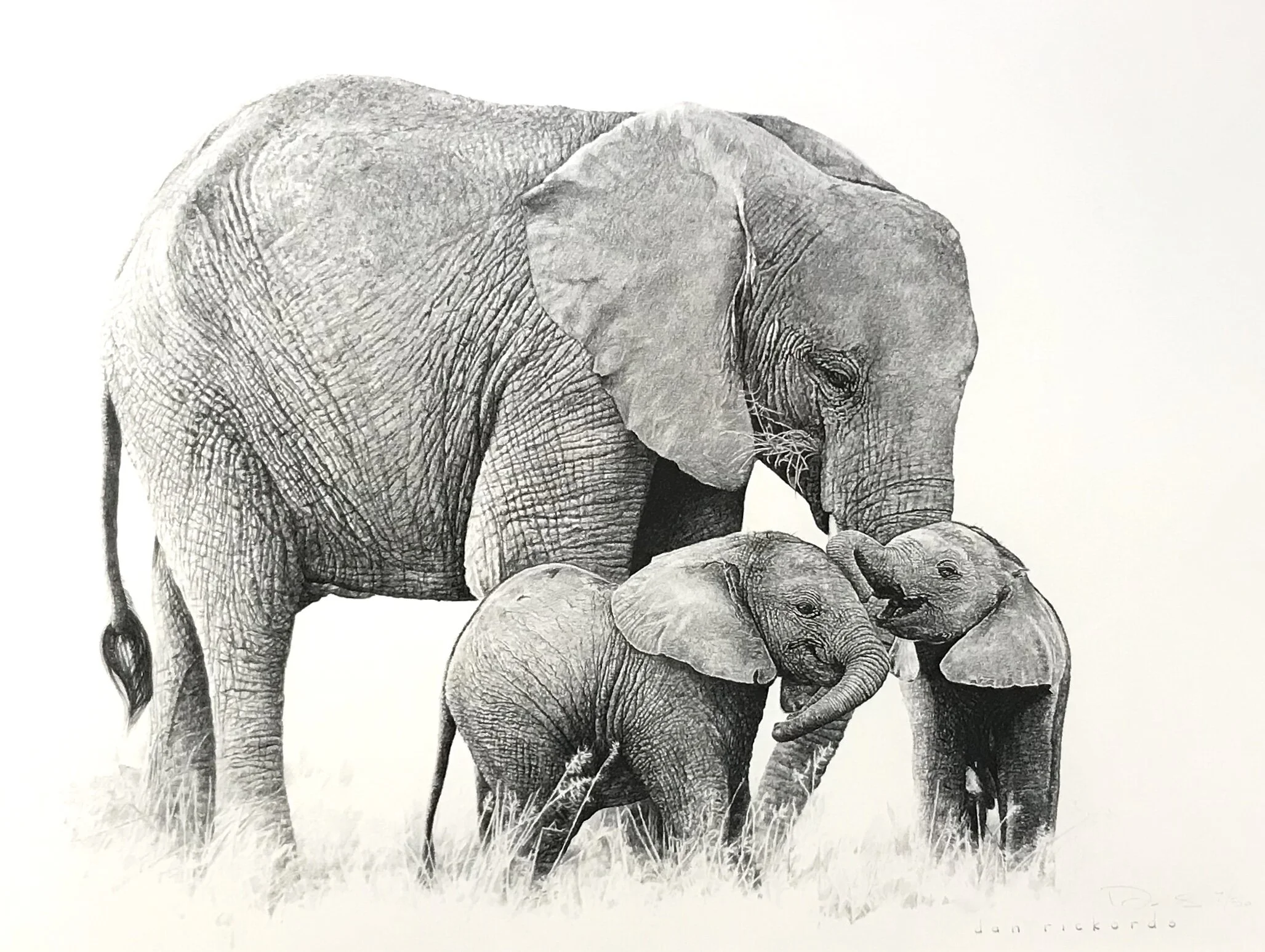 Dan Rickards — Sisters Arts Association