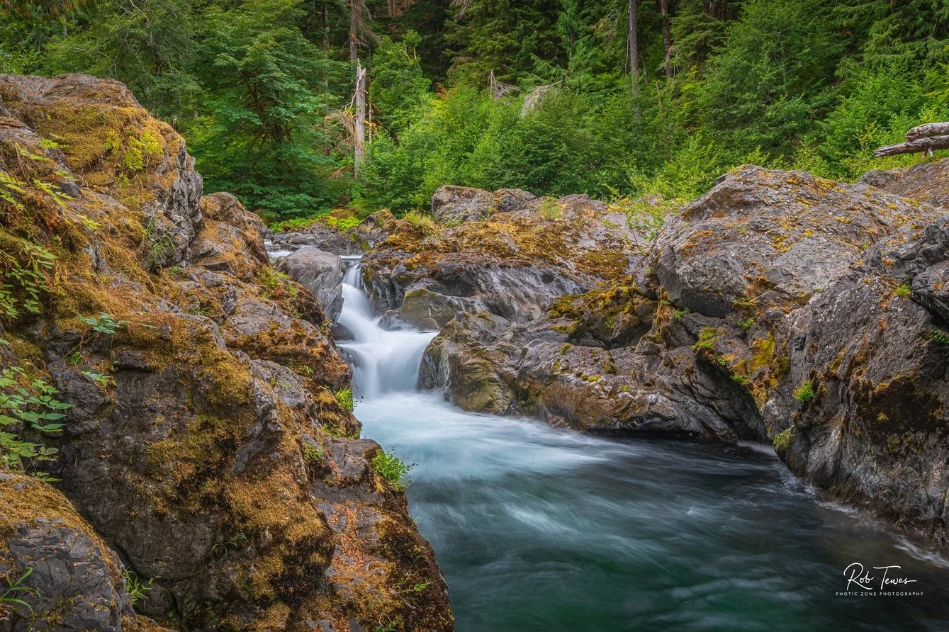 Robert Tewes — Sisters Arts Association